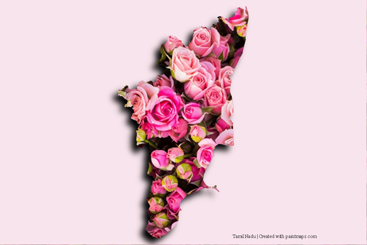 Tamil Nadu Photo Map Maker tamil-nadu-photo-map-maker